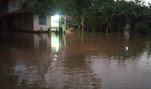 Puluhan Rumah di Desa Kempas Raya Terendam Banjir, Ketinggian Air Capai ...